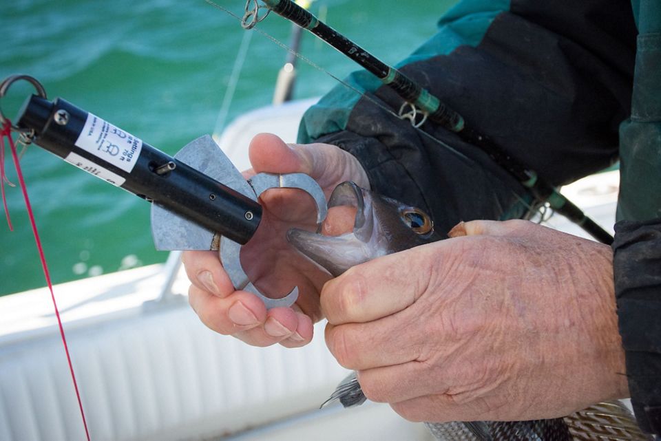 TNC Takes on Saving Discarded Fish