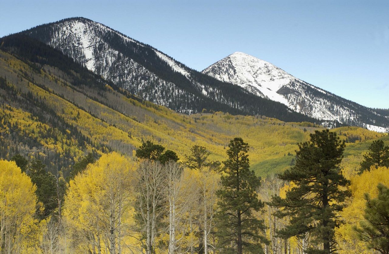 Hart Prairie Preserve | The Nature Conservancy