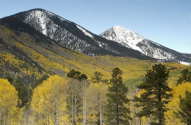 Hart Prairie Preserve | The Nature Conservancy