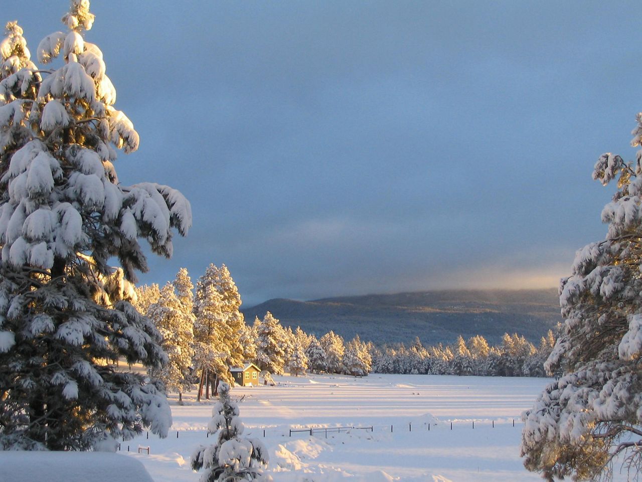 Hart Prairie Preserve | The Nature Conservancy