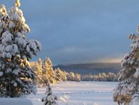 Hart Prairie Preserve | The Nature Conservancy