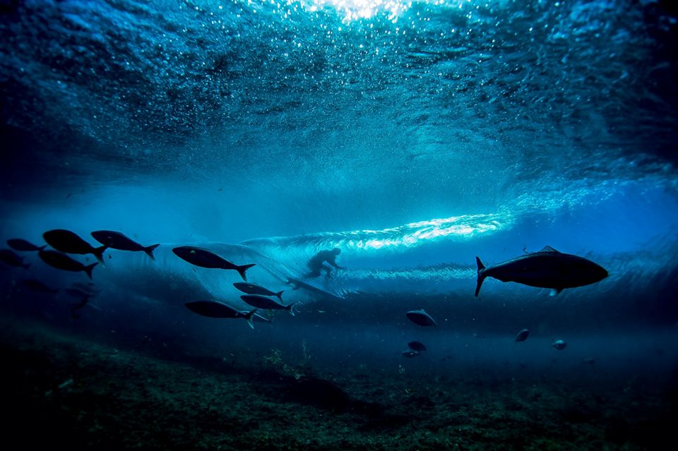 Nature Photo Contest | The Nature Conservancy Australia