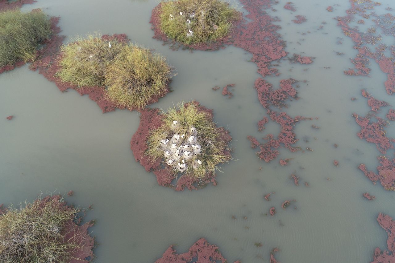 Nari Nari Country | The Nature Conservancy in Australia
