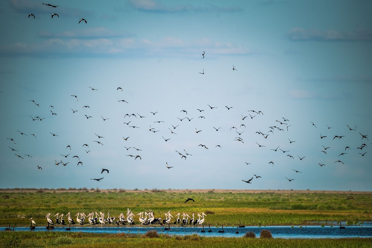 Nari Nari Country | The Nature Conservancy in Australia