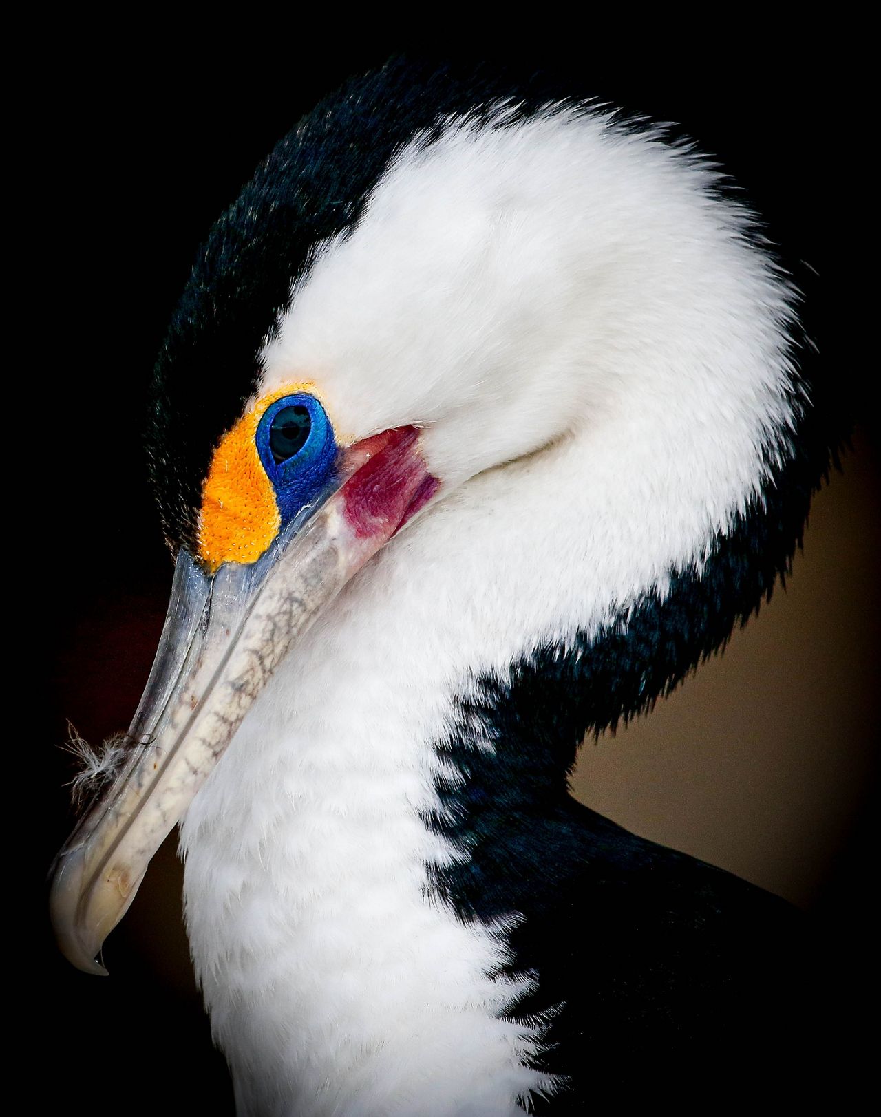 Habitat Protection Facts