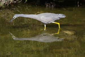 Exploring Gayini - Nari Nari Country