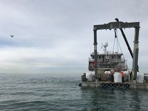 Restored shellfish reefs bring hope for a better Bay