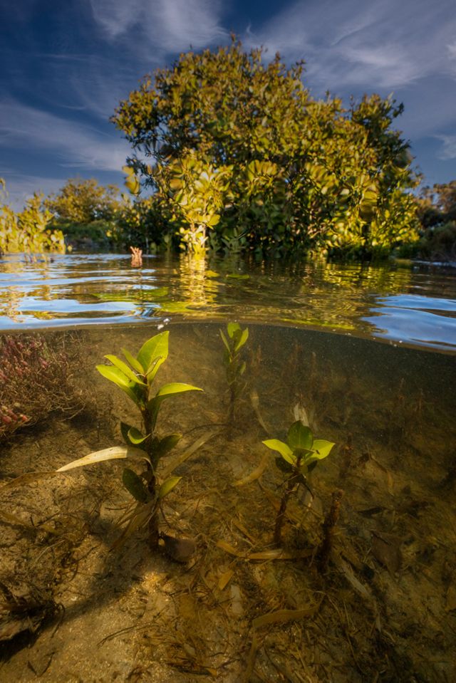 Careers at The Nature Conservancy
