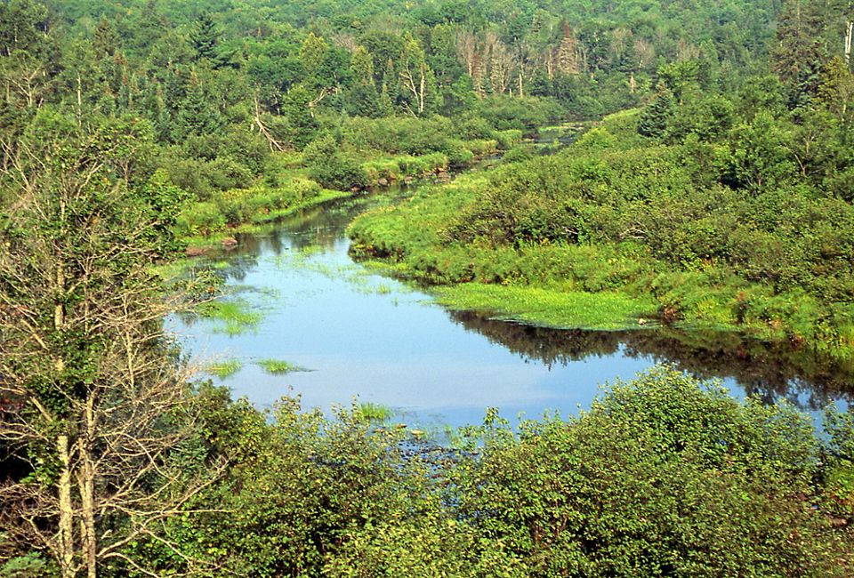 The Great Lakes Northwoods | The Nature Conservancy