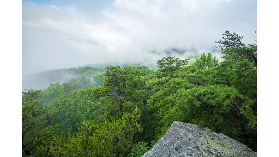 Bridgestone Nature Reserve at Chestnut Mountain