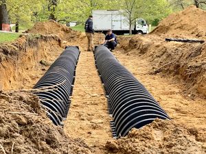 Mashomack | The Nature Conservancy in New York