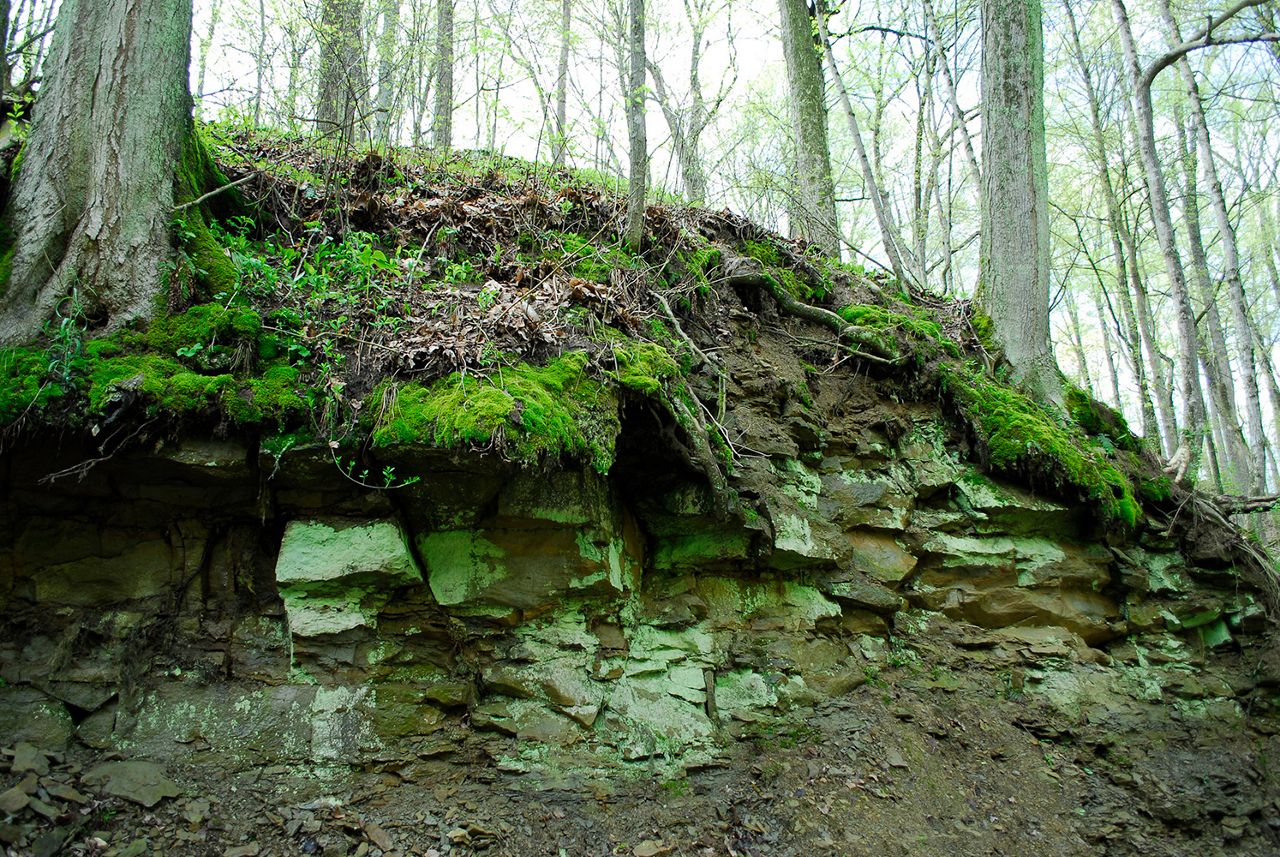 Big Walnut Nature Preserve | The Nature Conservancy in Indiana