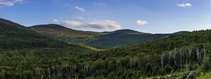 The Nature Conservancy in Maine