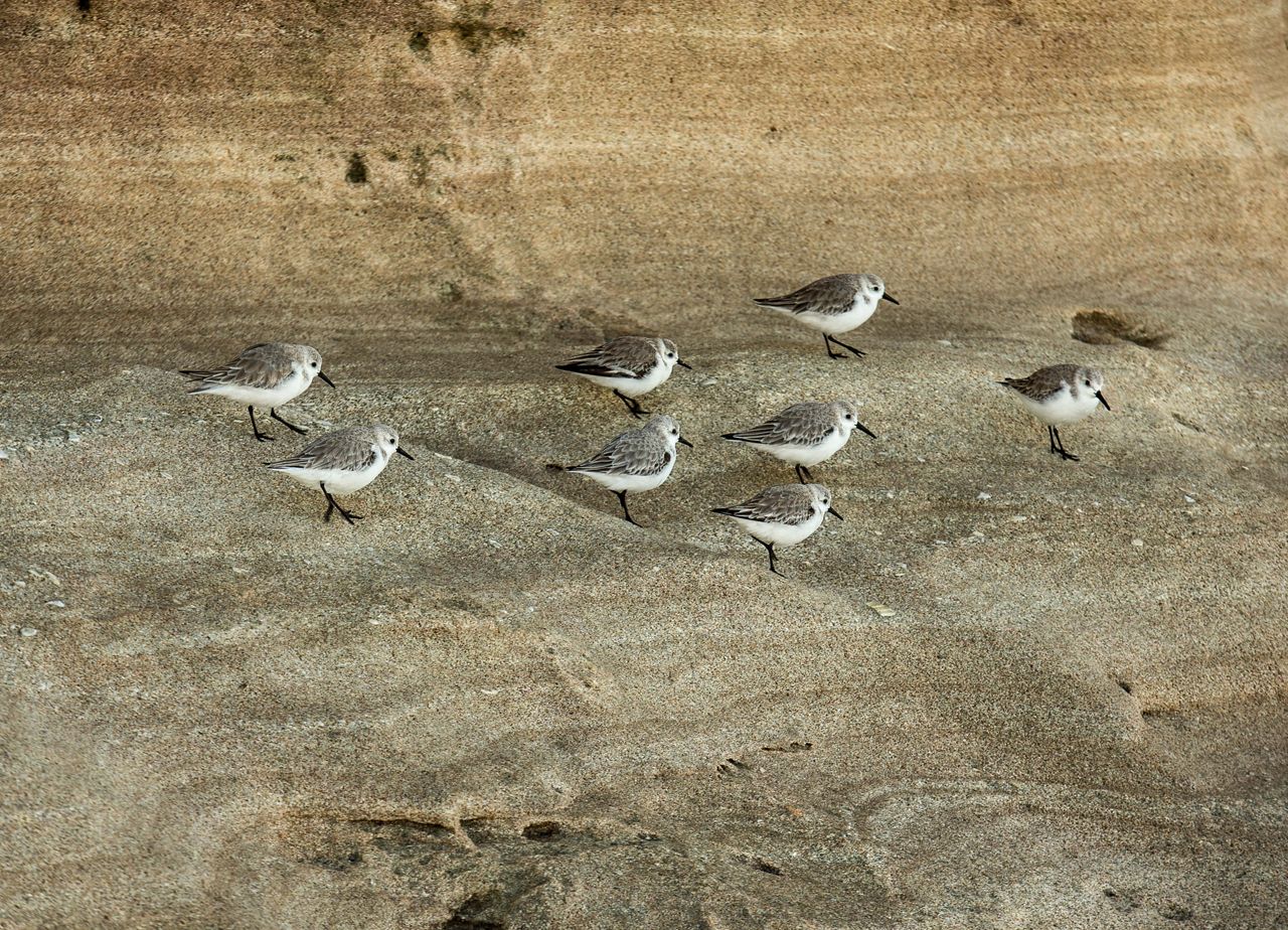 Blowing Rocks Preserve | The Nature Conservancy in Florida