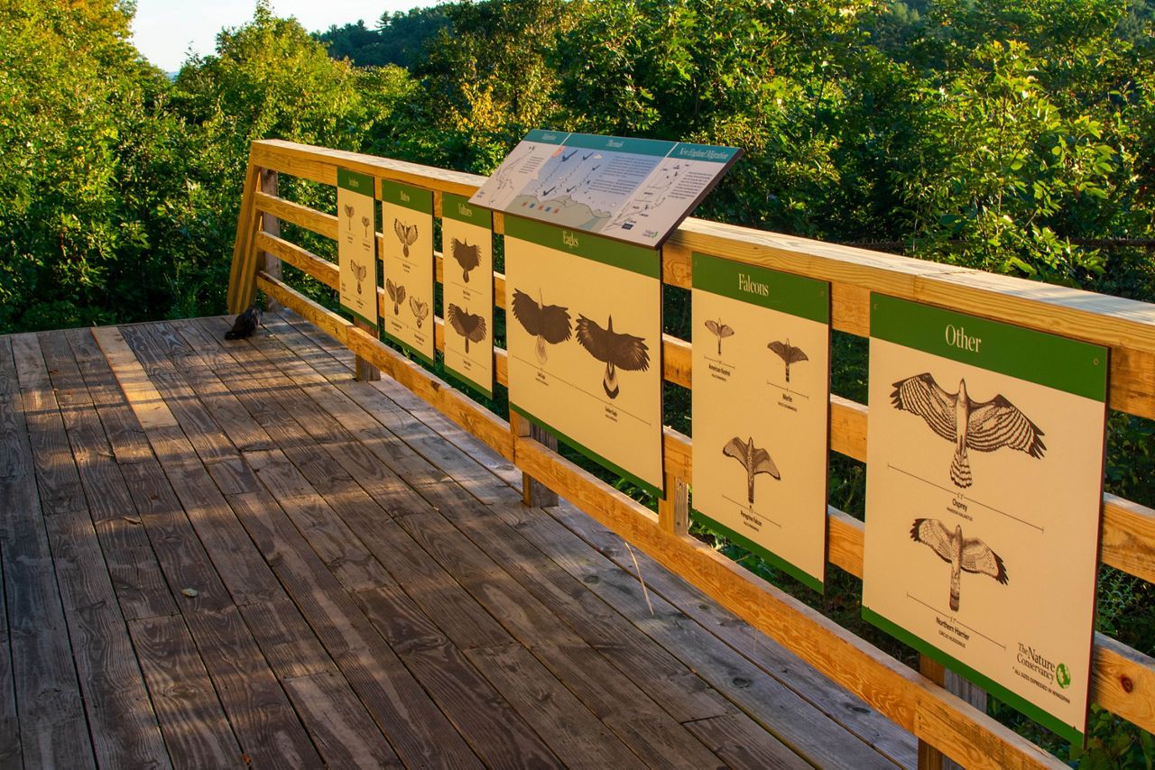 Arthur W. Butler Memorial Sanctuary | The Nature Conservancy