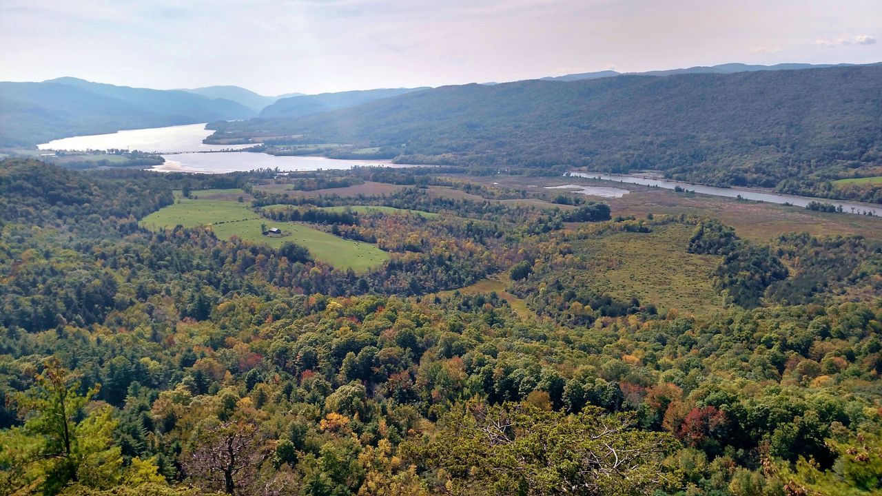 Biodiversity in Vermont | The Nature Conservancy