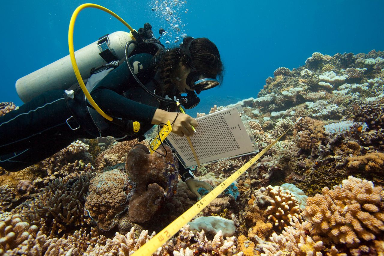 2023 Impact Report for One Conservancy Science | TNC