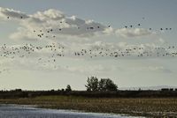 Climate Change in California | The Nature Conservancy