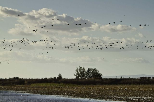 Climate Change in California | The Nature Conservancy