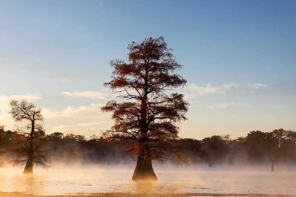 Fred and Loucille Dahmer Caddo Lake Preserve | TNC