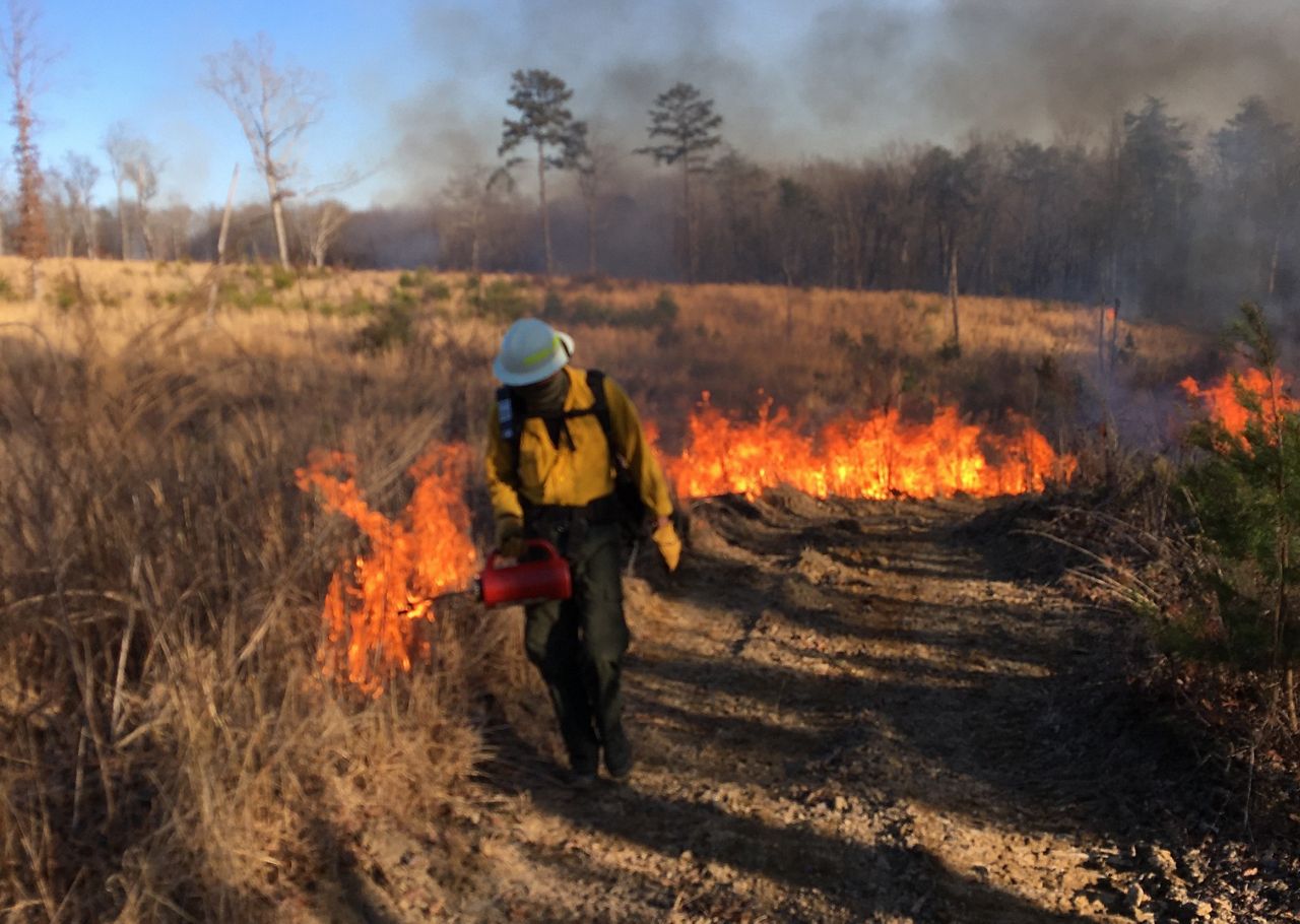 Bridgestone Nature Reserve at Chestnut Mountain