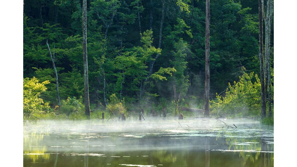 Bridgestone Nature Reserve at Chestnut Mountain