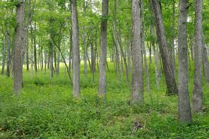 2023 Year in Review | The Nature Conservancy in Missouri