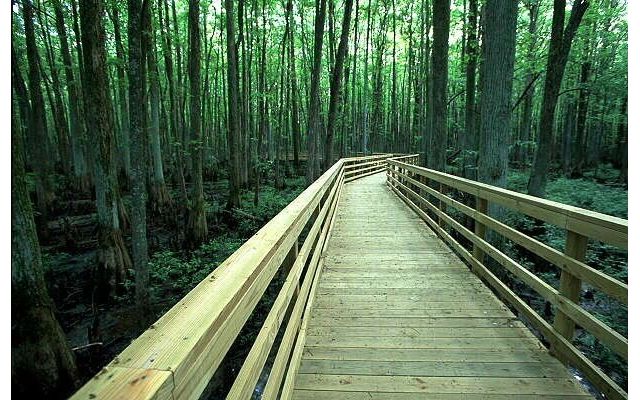 The Nature Conservancy's William B. Clark Conservation Area