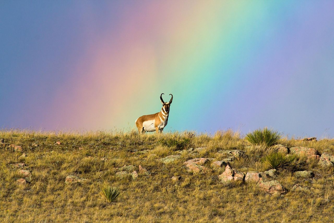 Sustainability at The Nature Conservancy’s Preserves in Colorado