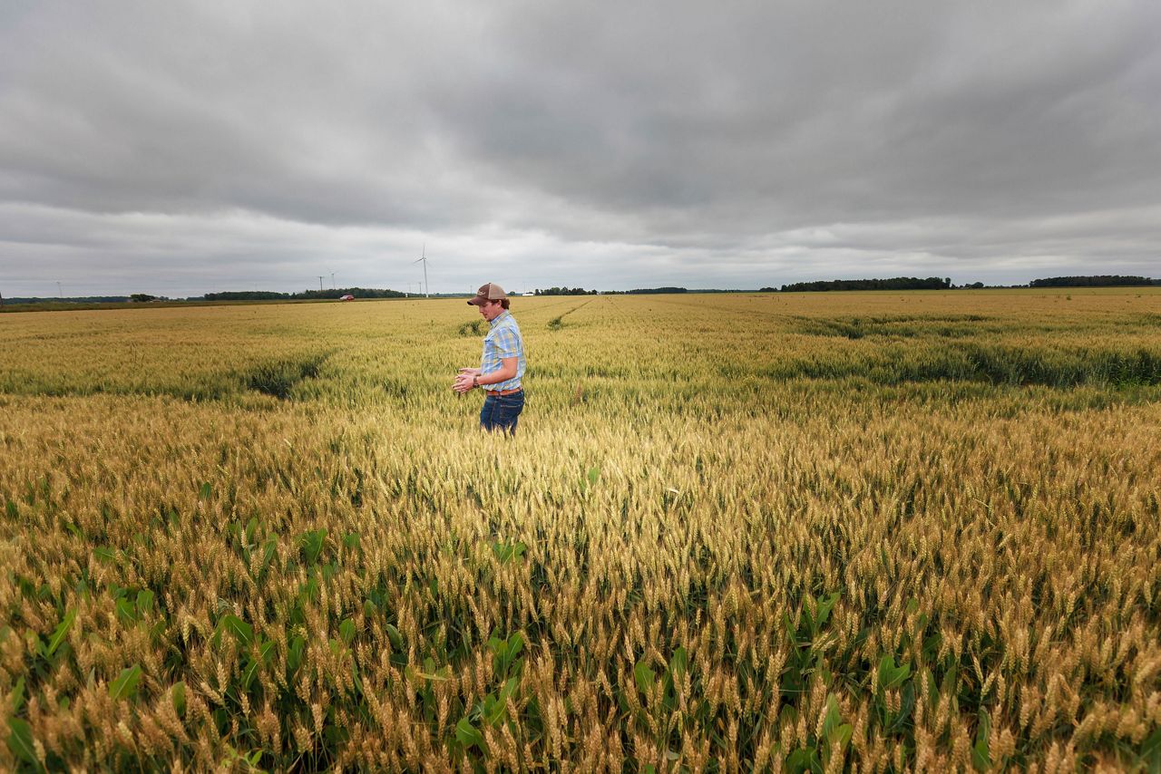 Michigan Climate Action | The Nature Conservancy