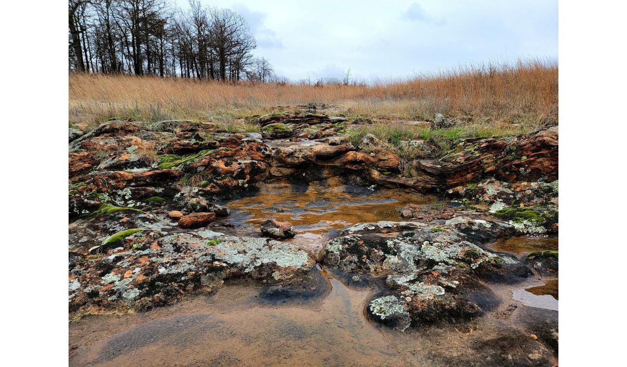 Crosstimbers Nature Preserve