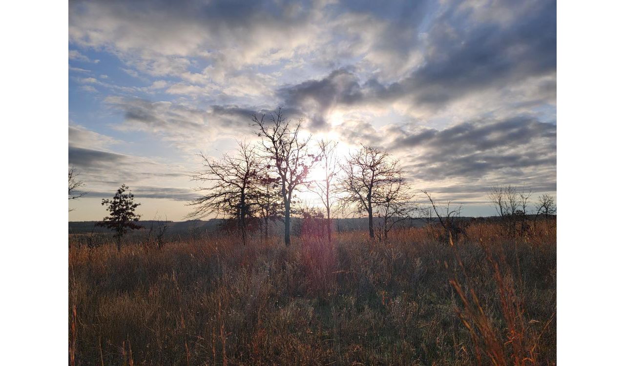 Crosstimbers Nature Preserve