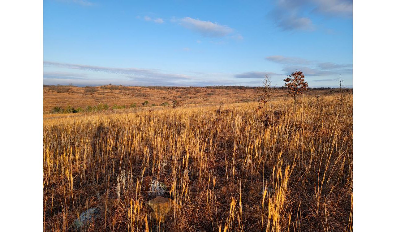 Crosstimbers Nature Preserve