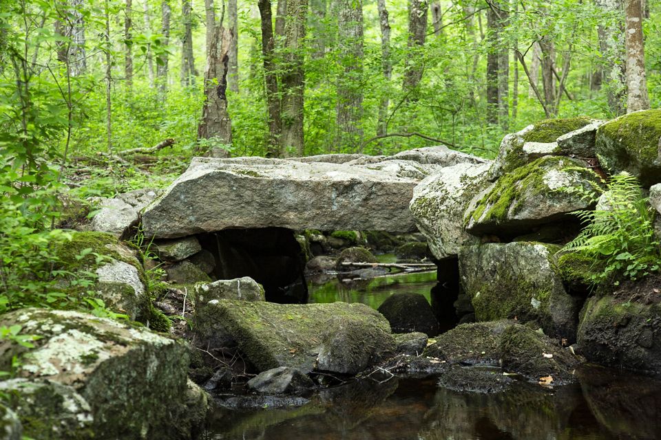 Canonchet Brook Preserve | The Nature Conservancy in Rhode Island