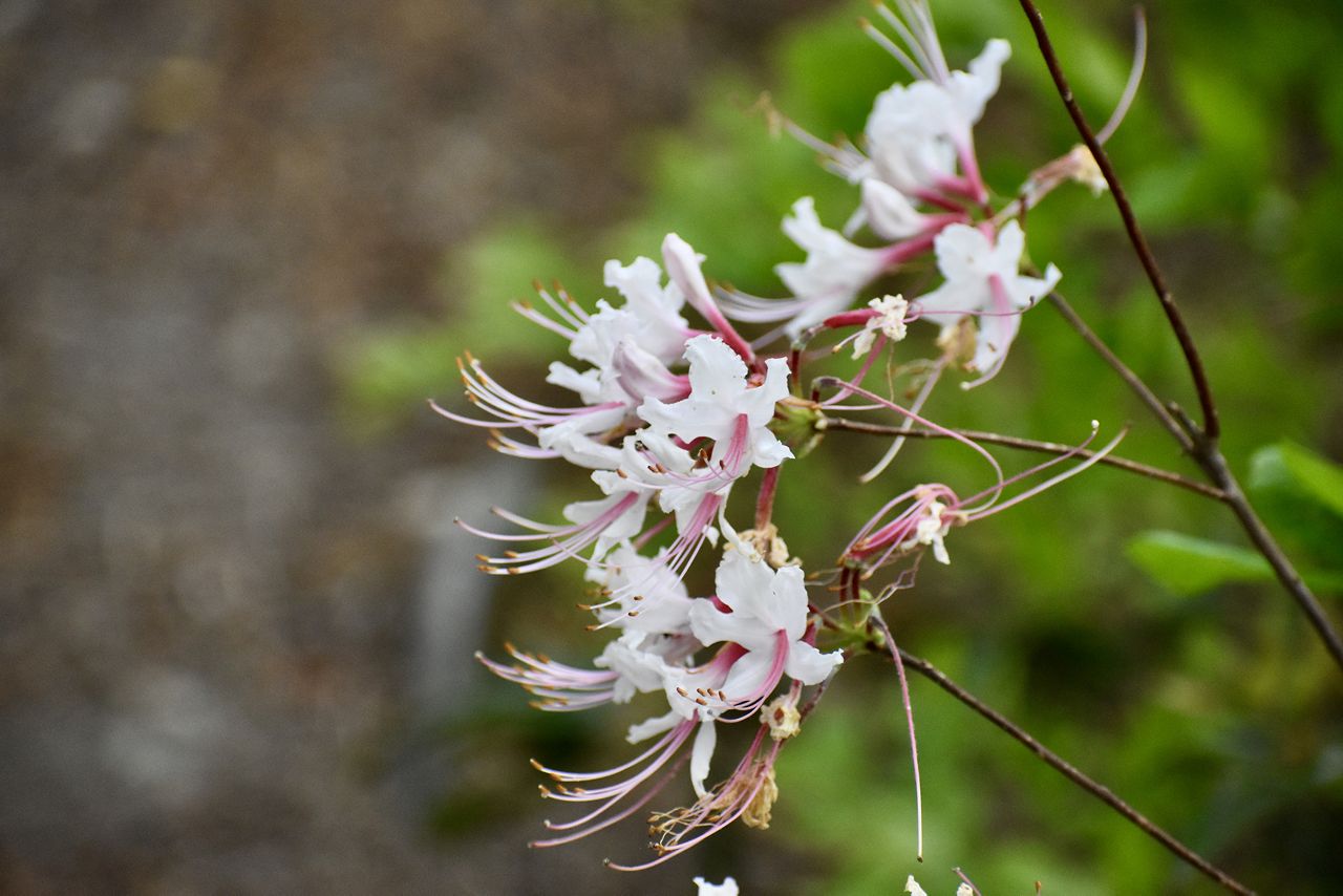 Oxbow Nature Preserve | The Nature Conservancy MD/DC
