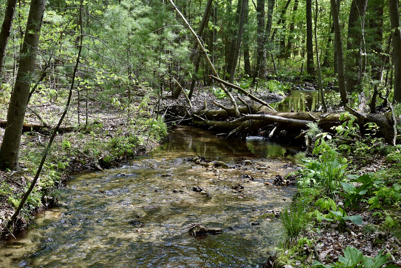 Forest Pools Preserve at Kings Gap | The Nature Conservancy in PA