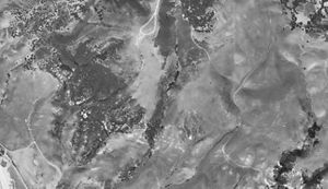 Preserve Overview | Dangermond Preserve and PCI