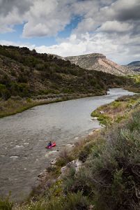 Celebrating 40 Years of Conservation in New Mexico