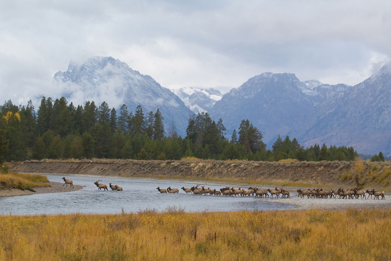 Nature Podcasts for All | The Nature Conservancy in Colorado
