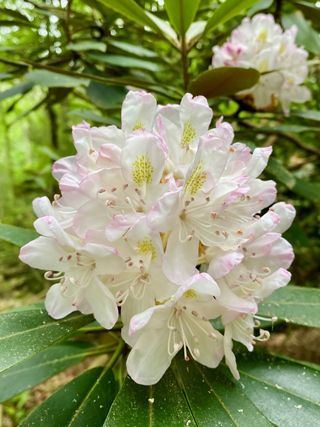 Ell Pond Preserve | The Nature Conservancy