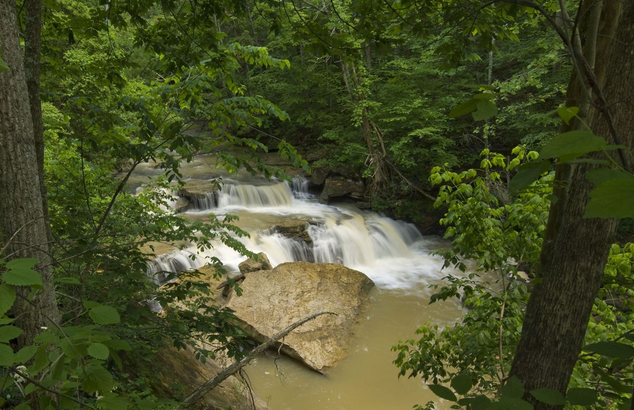 The Nature Conservancy in Ohio