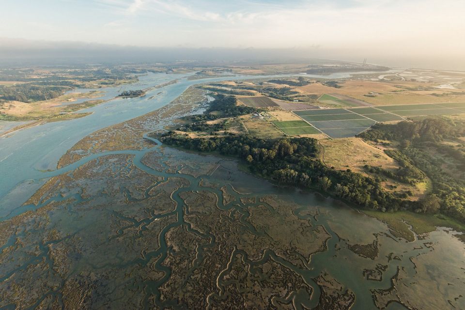 Elkhorn Slough | The Nature Conservancy in California