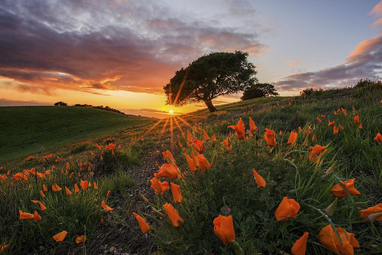 Photos: 6 Things We Love About Nature (That Aren’t Animals)