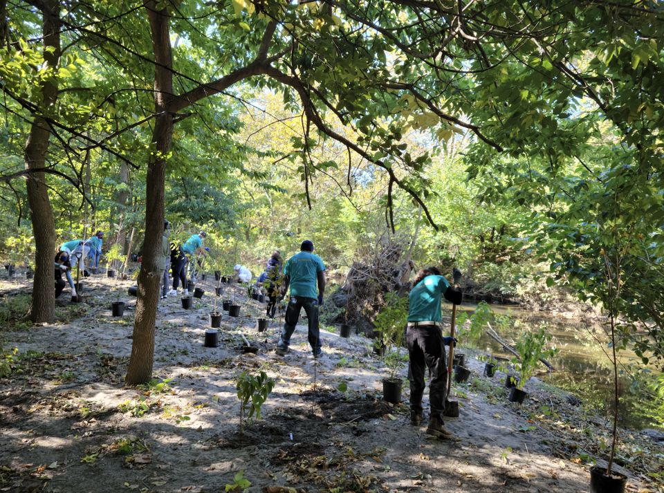 The Collective Stand of Forest for All NYC
