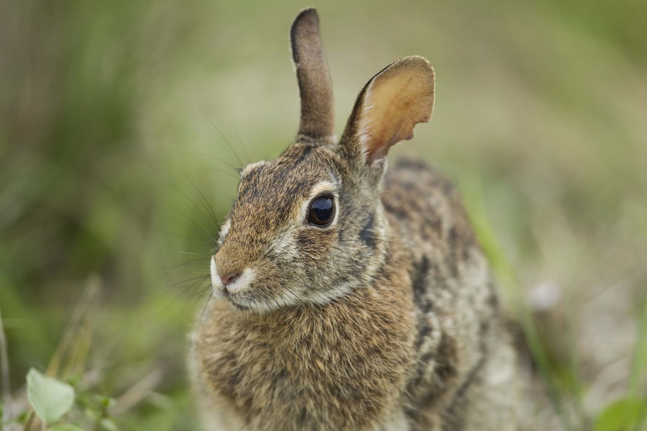 Powderhorn Ranch | The Nature Conservancy