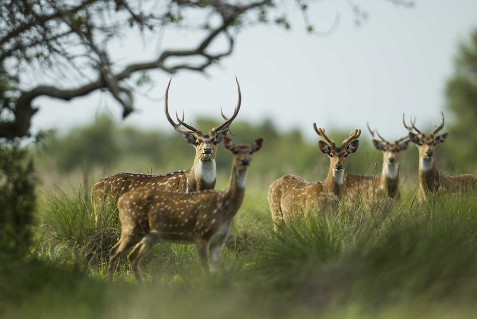 Powderhorn Ranch | The Nature Conservancy
