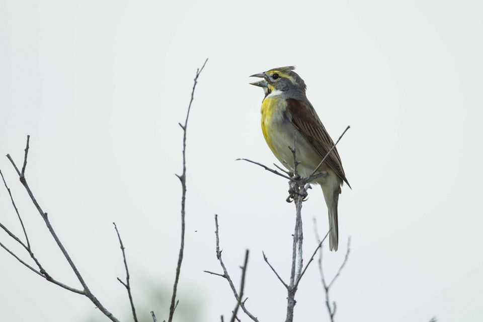 Powderhorn Ranch | The Nature Conservancy