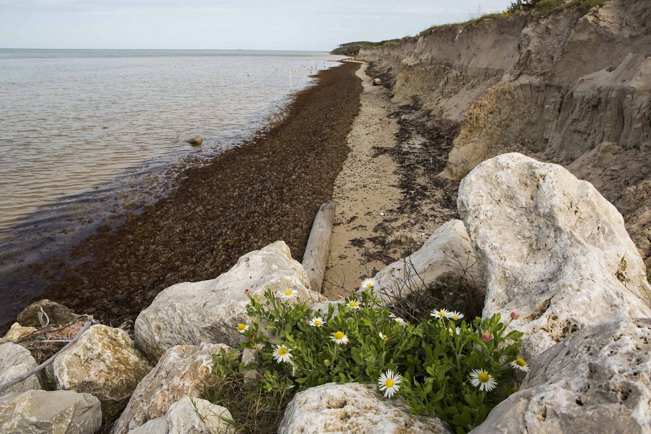 Powderhorn Ranch | The Nature Conservancy
