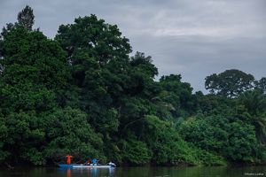 Government of Gabon and TNC Announce Visionary PFP Initiative