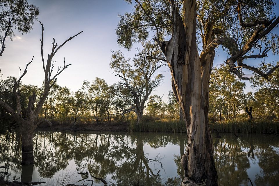 Nari Nari Country | The Nature Conservancy in Australia